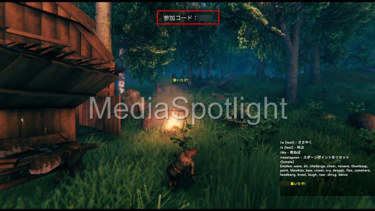 Valheimでマルチプレイする方法は？Steamで無料サーバー構築手順について解説 | MediaSpotlight